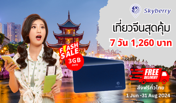 Skyberry：Borderless Wi-Fi Rental